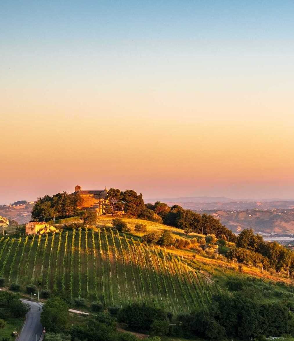 De Marken (Le Marche): alles over deze Italiaanse wijnstreek | Gall & Gall