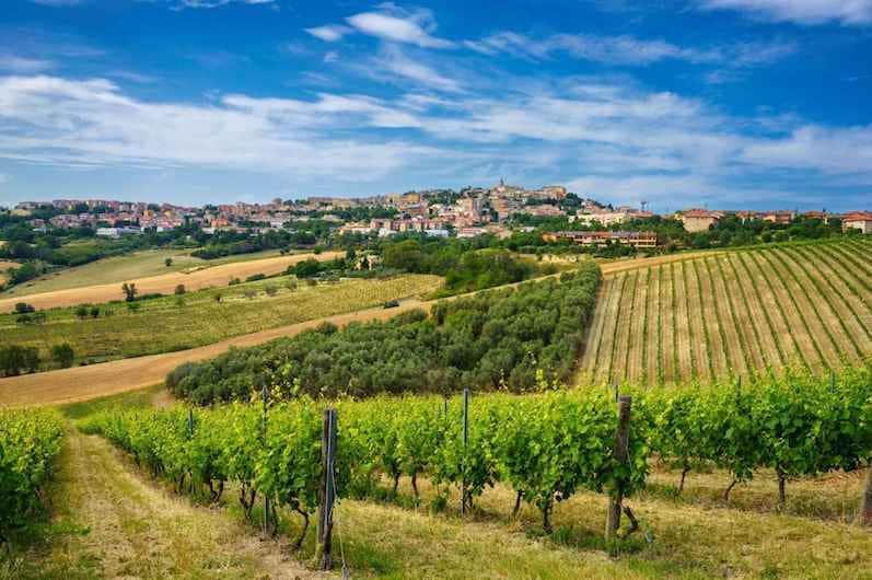 De Marken (Le Marche): alles over deze Italiaanse wijnstreek | Gall & Gall
