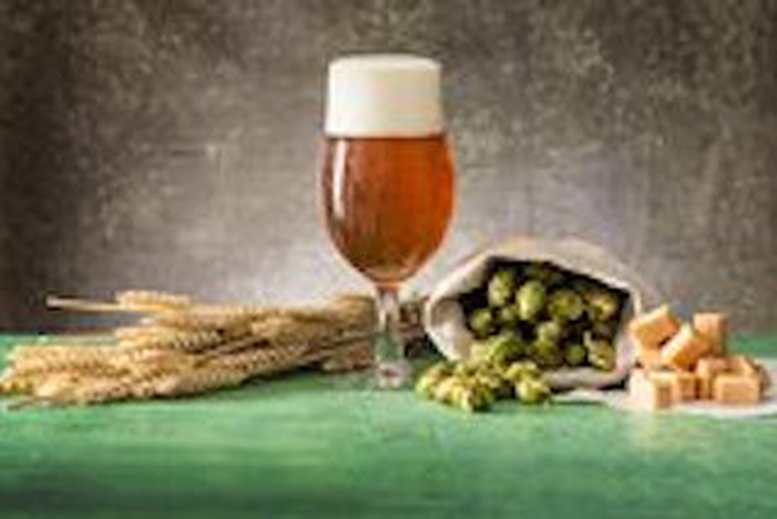 Stout bier: alles over deze biersoort | Gall & Gall